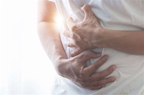 Appendix What Does The Appendix Do