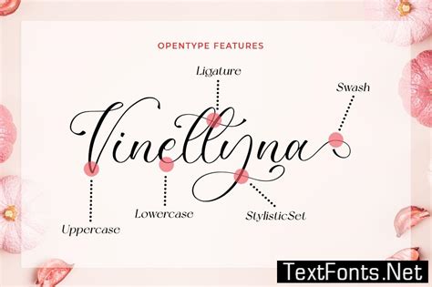 Magnificent Lovely Script Font N2l6ahf