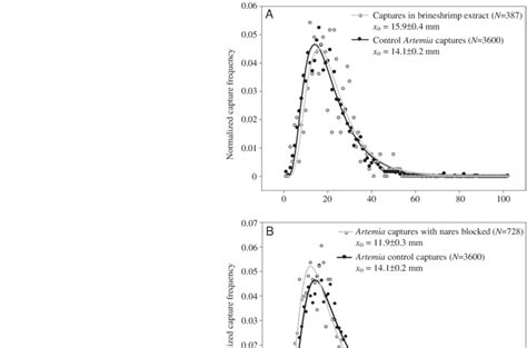 Prey Capture With Chemosensory Interference A Brineshrimp Artemia Download Scientific