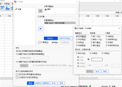 SPSS录入数据的步骤 SPSS录入数据后怎么进行数据整理 IBM SPSS Statistics 中文网站
