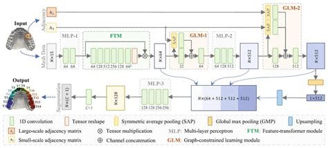 Meshsegnet A Multi Scale Deep Neural Network That Learns High Level