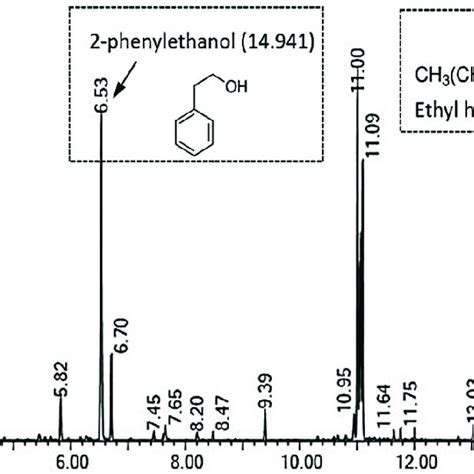 Total Ion Chromatogram Of Volatile Compounds Identified From T