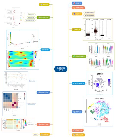 【科研利器重磅出鞘】单细胞转录组云平台正式上线！ 知乎
