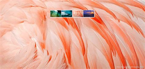 Javascript 修改背景图 Js更改背景图片charlesc的技术博客51cto博客