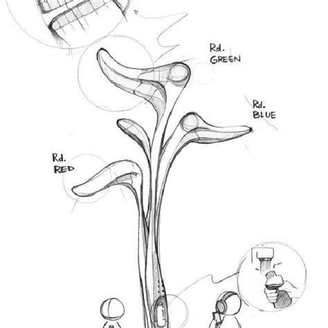Concept Drawing Of ROOT Representing People Using The Walking And Download Scientific Diagram