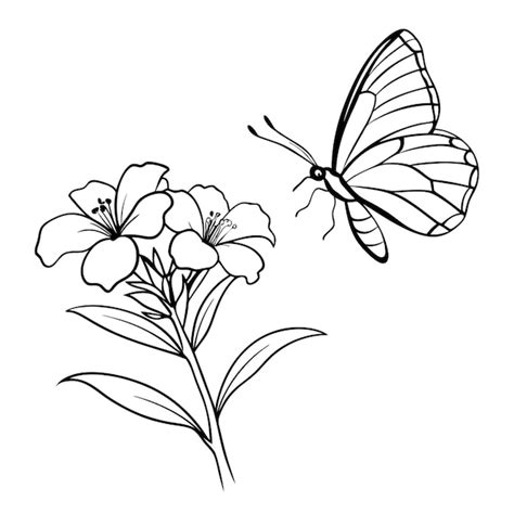 A Butterfly Is Extracting Nectar From A Oleander Flower Vector