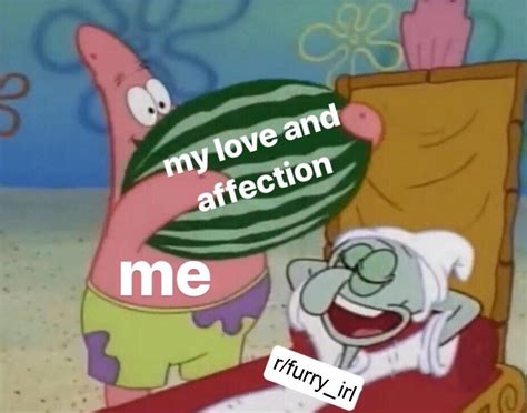 Furryirlirl Rfurryirl