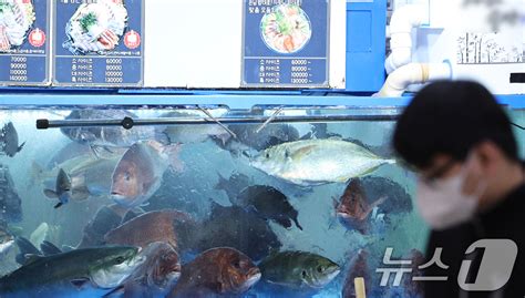 회 먹기도 무섭다 뉴스1