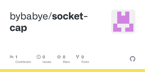 GitHub Bybabye Socket Cap