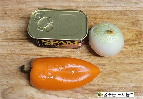 스팸양파볶음