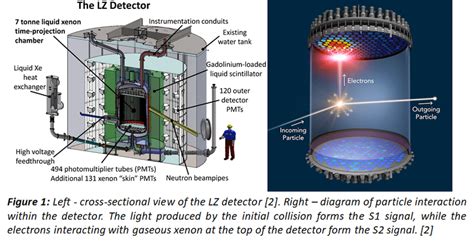 Left Cross Sectional View Of The Lz Detector 3 Right Diagram Of Download Scientific
