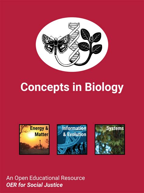 Carbohydrate Structure And Function Concepts In Biology