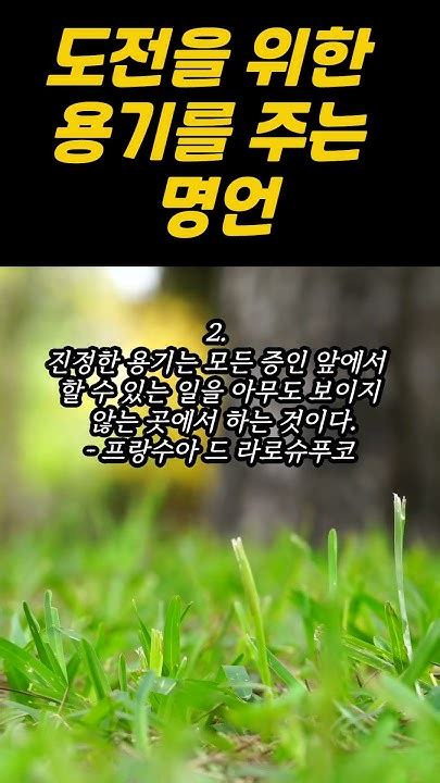 도전을위한용기를주는명언 삶의지혜 명언 좋은글 마음 지혜 삶 마음공부 인생조언 철학 도전 용기 Youtube