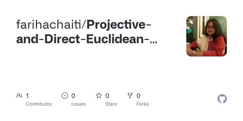 Github Farihachaitiprojective And Direct Euclidean Reconstruction