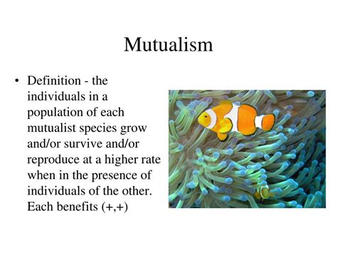 Define Mutualism