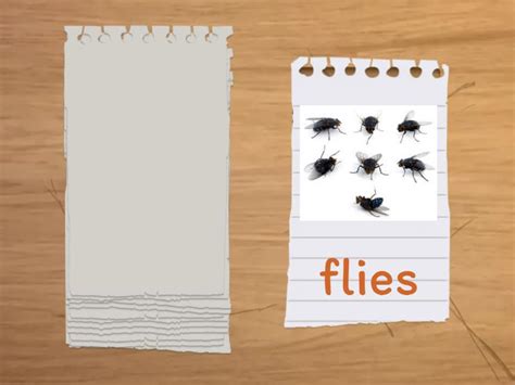 Ie Ight Random Cards