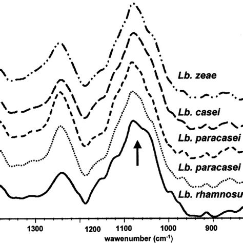 Hierarchical Cluster Analysis Using Ward Algorithm On Euclidian Download Scientific Diagram