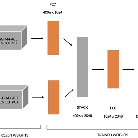 The Fsp Network Architecture Download High Quality Scientific Diagram