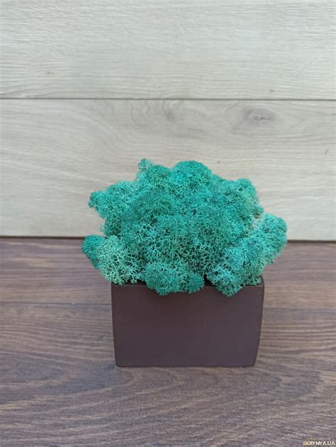 Купити Деревяне шоколадного кольору кашпо з бір Skrynya Ua