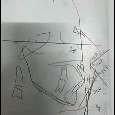 Linear Parameters B Linear Parameters Download Scientific Diagram