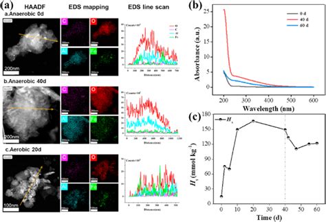 high resolution haadf stem images and eds line scans of c o al and