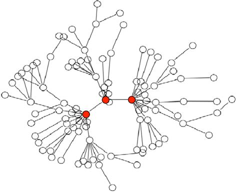 Color Online A Schematic Illustration Of The Network Model Each