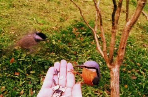 Яку жінку вибирають чоловіки різних знаків Зодіаку дізнавшись це будуть всі шанси завоювати