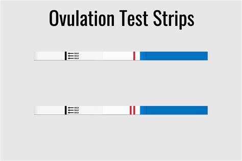 Ovulation Test How To Use At Glenn Barbee Blog