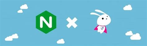 Diferença Entre Varnish E Nginx Blog Isbrasil