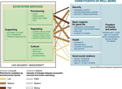 2 The Millennium Ecosystem Assessment Framework Ma 2005 Download