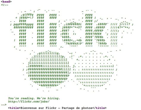 flickr html source code open time