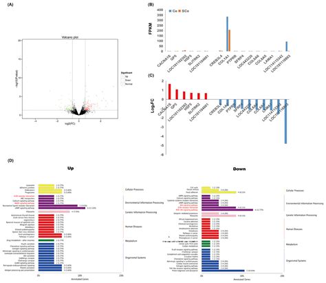 Transcriptome Analysis Reveals Genes Associated With Wool Fineness In Merinos PeerJ