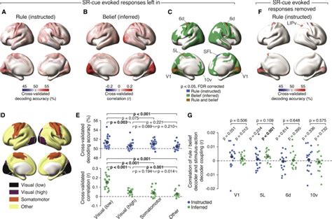 Flexible Sensory Motor Mapping Rules Manifest In Correlated Variability Of Stimulus And Action