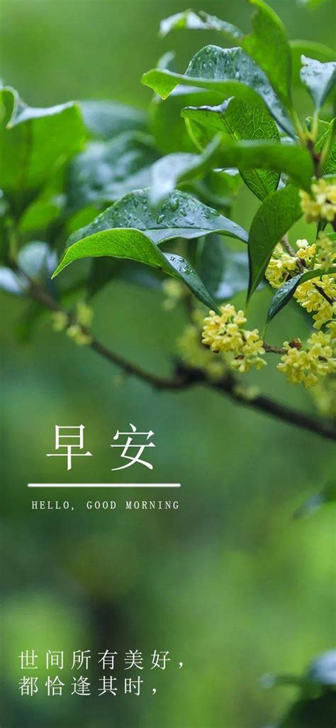 早上好祝福语图片，农历七月廿七太阳光芒脚尖