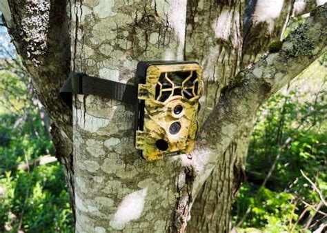 4 Ways To Connect Trail Camera To Computer View Photosvideos Gudgear