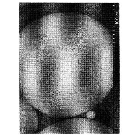 Fixed Abrasive Particles And Articles Made Therefrom Eureka Patsnap