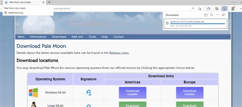 Pale Moon Browser A Full Review 2024 Rapidseedbox