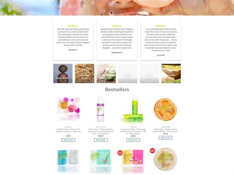 design wordpress elementor website or elementor landing page upwork
