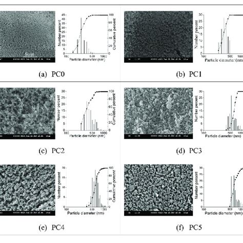 Sem Images And Corresponding Particle Size Distributions Of The