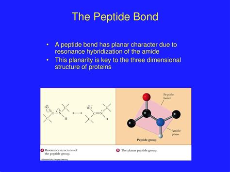 Organic Chemistry 2: Important Reactions - ppt download