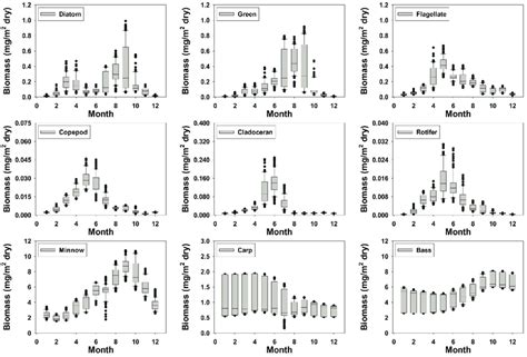 Boxplot Of Monthly Average Biomass For Each Simulated Aquatic Species
