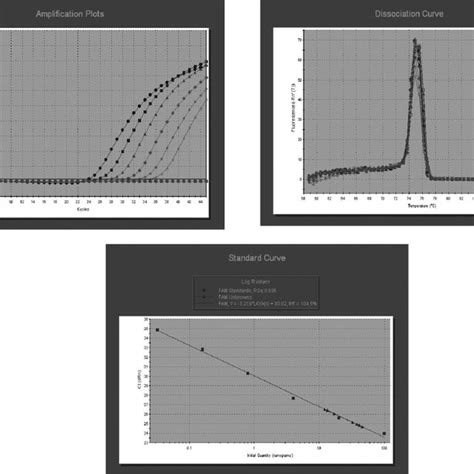 The Amplification Curve Dissociation Curve And Standard Curve