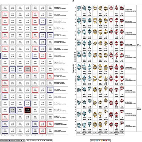 Functional Analysis Of The Protein Coding Transcripts From The