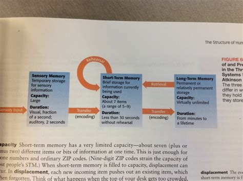 PSY Chapter 6 Flashcards Quizlet PSY Chapter 6 Flashcards Quizlet