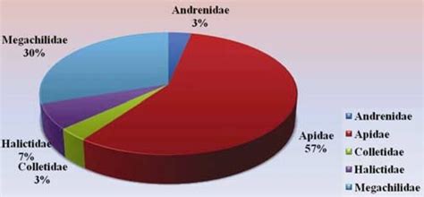 Composition Of Different Families Of Various Non Apis Bees Based On The Download Scientific