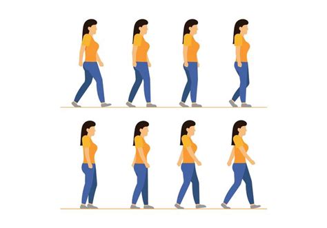 Walk Cycle Vector At Collection Of Walk Cycle Vector