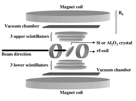 A Schematic Overview Of The β Nmrnqr Set Up Download Scientific Diagram
