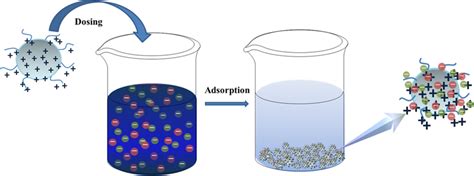 Schematic Adsorption Process Of St Af And Water Soluble Dye Molecules