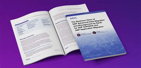 Sap Advanced Data Migration And Management Syniti