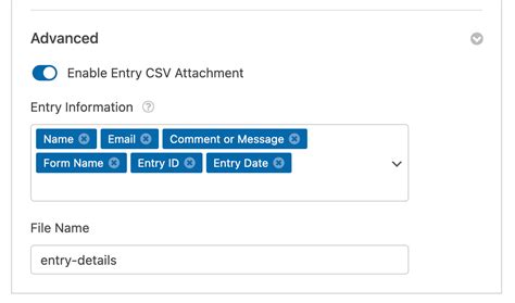 How To Export Form Entries From WordPress To A CSV No Code